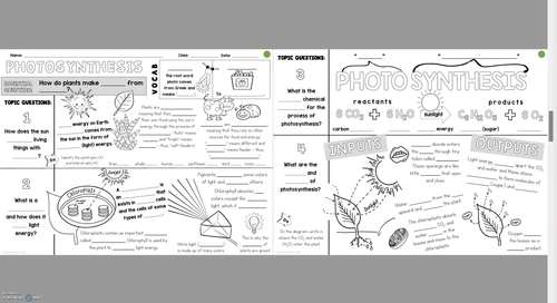 Photosynthesis Doodle Notes by Sunrise Science | TPT