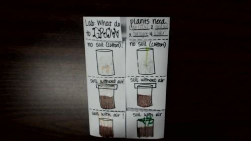 Foldable Lab: What do plants need to grow? by The Classroom by Hera