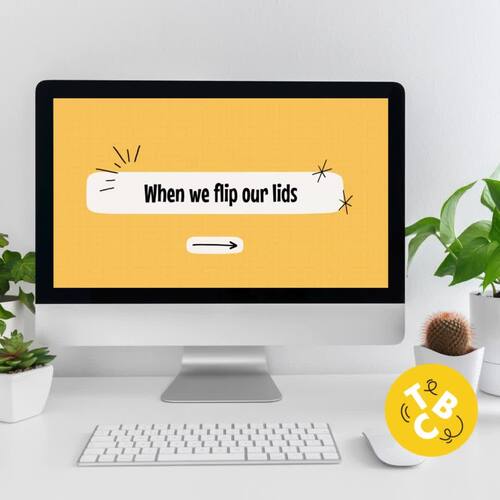 SEL Lesson 'Flipping Your Lid': Supports Emotional Regulation and Behavior