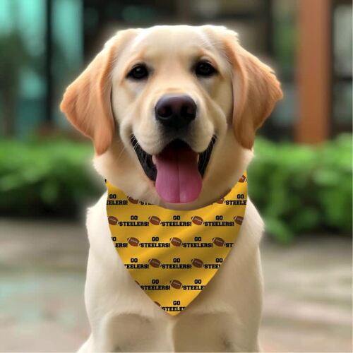 Team Spirit Football Digital Paper Seamless Patterns Pittsburgh ...