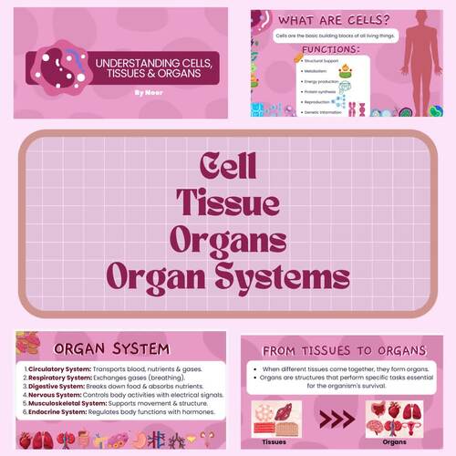Biology: Cell, Tissue, & Organs by Biochemistry by Noor | TPT