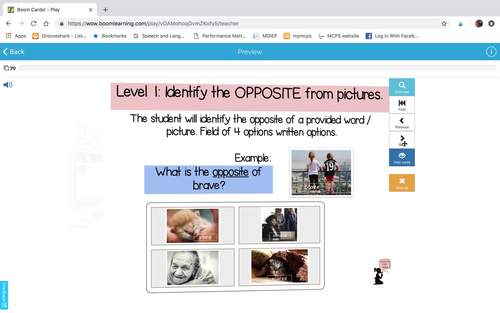 Opposites Boom™ Cards Real Photos Set 2 | Antonyms Real Pictures