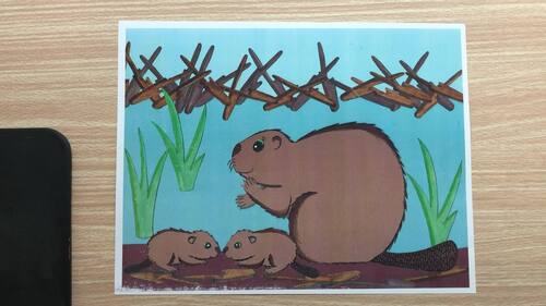 How to Draw a Beaver Animal Science and Art Activity Directed Drawing ...