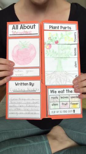 Plant Interactive Lapbook | Research Project | Differentiated | Project ...
