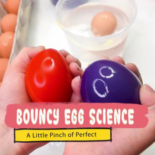 Bouncy Egg Science Experiment Activity Pack (Easter, Farm, Chemical ...