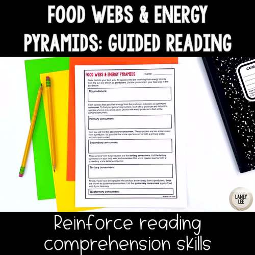 Food Chains, Food Webs, Energy Pyramids - Reading Comprehension Worksheets