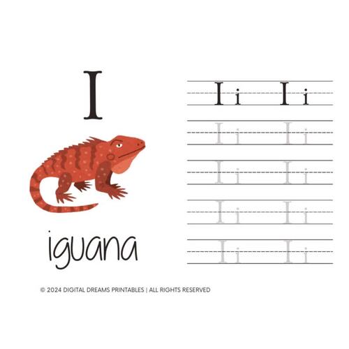 Tracing Letters Practice I for Iguana Booklet Uppercase, Lowercase, Blank
