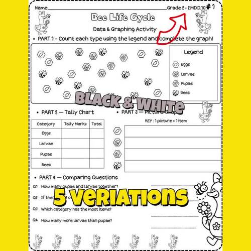 Bee Life Cycle Data and Graphing Worksheets First & 2nd Grade Math Science