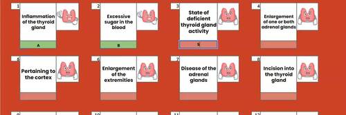 Endocrine System Medical Terminology Digital Google Sheetsᵀᴹ and Print ...