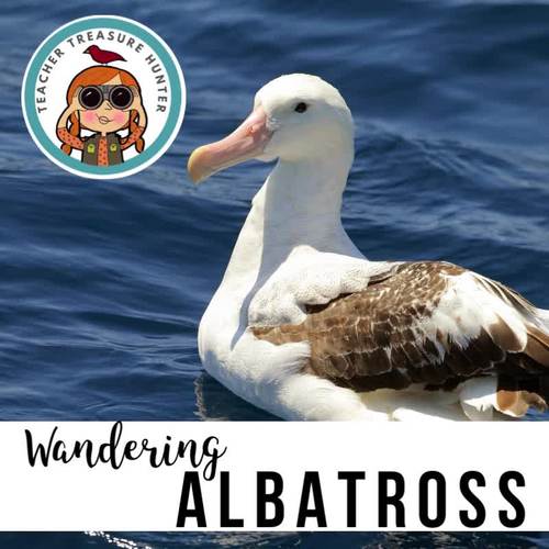 Wandering Albatross nonfiction article for writing an animal research ...