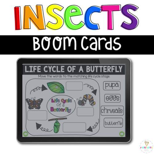 Boom Cards Insect Digital Activities Distance Learning by Kindergarten ...