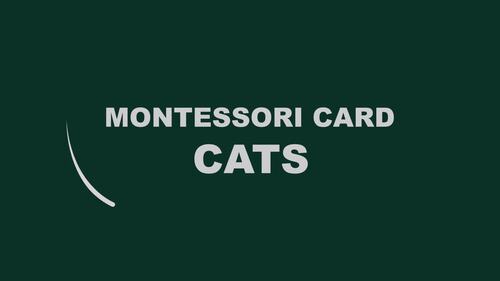 Montessori 3 Part Cards - Parts of a Cat and 12 Cat Breeds | TPT