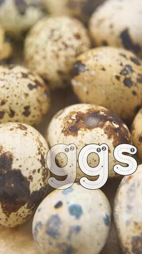 Eggs Science & Tracing Unit with Matching Game, Scissor Skills, and ...