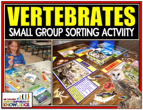 Animal Classification: Vertebrate Sorting Activity | TPT