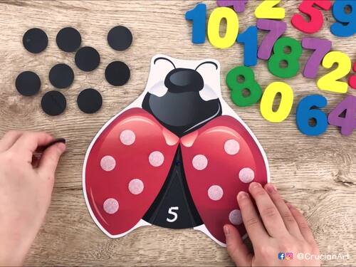 Ladybug Spots Counting & Number Recognition Activity by CrucianArt