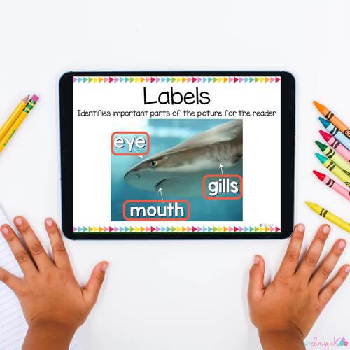 Digital Day in K Week 28 Plans & Activities | Google Slides by My Day in K