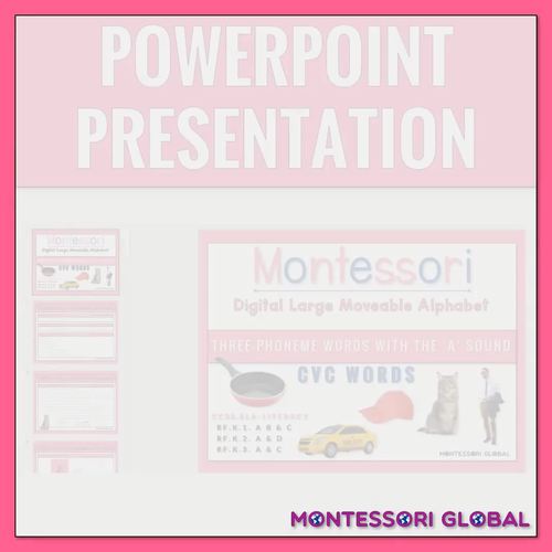 Montessori Pink Series: Montessori Moveable Alphabet - CVC Words with ...