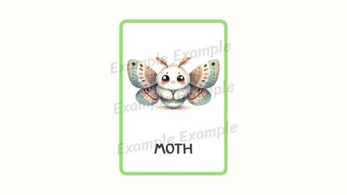30 Discover Nature's Tiny Wonders: Insect Flashcards for Kids - Fun ...