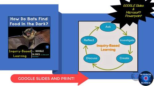 NGSS 4-PS4-3 Inquiry Based Learning | How Do Bats Find Food in The Dark?