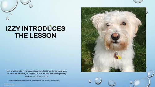 READY TO USE NO PREP Water Swimming Personal Safety SEL Lesson w 7 ...