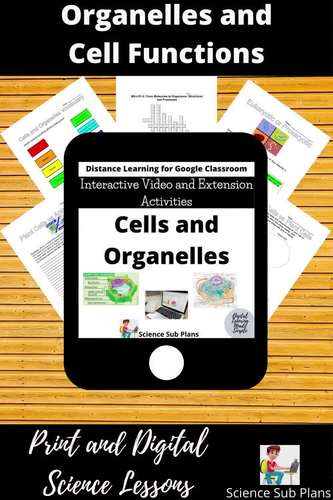 Organelles and Cell Functions - Interactive Video and Extension Activities