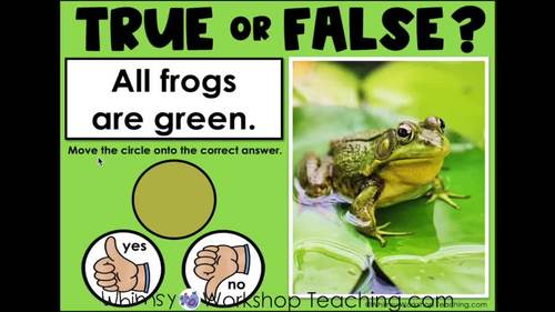 Google Slides™ Science True False Frogs Nonfiction Animal Facts | TPT