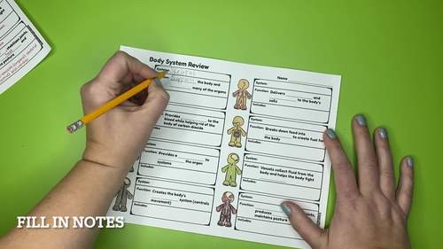 Human Body Systems Notes & Card Game | Match Body Systems, Organs ...