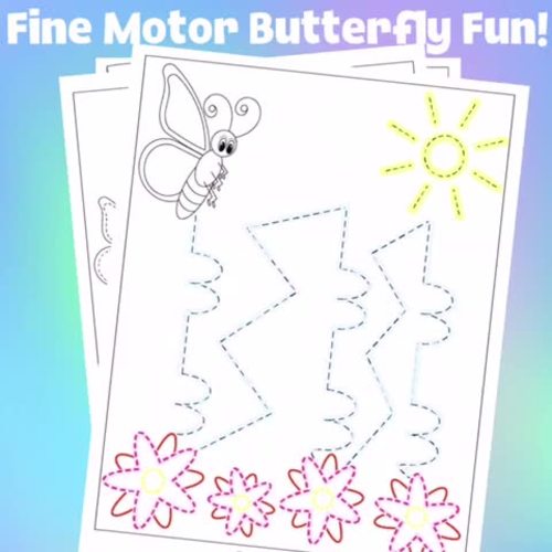 Butterfly Fine Motor - Life Cycle, Tracing, Drawing, Dot Marker, Q-Tip ...