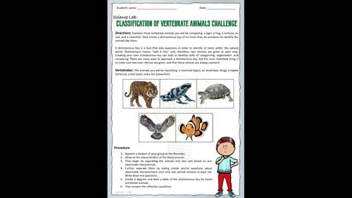 Dichotomous Key Create a Dichotomous Key to Identify Vertebrate Animals
