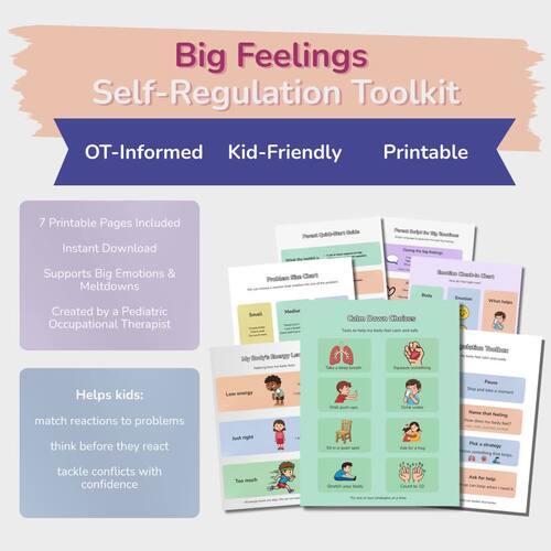 Big Feelings Self-Regulation Toolkit: Helping Kids Understand & Manage ...