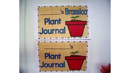 Brassica Plant Journal - FOSS Science by ATravelingMaestra | TpT