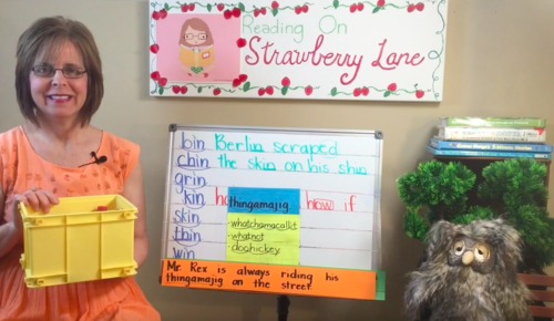 VIDEO: Reading: Set 1. Lesson 39. Word Family Pattern -in | TPT