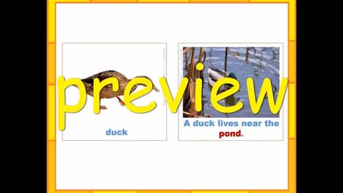 Animal Homes–Flash slides, Matching, Drag drop Activities. POWERPOINT