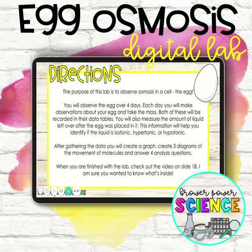 Egg Osmosis Lab Digital and Printable by Brower Power Science | TPT