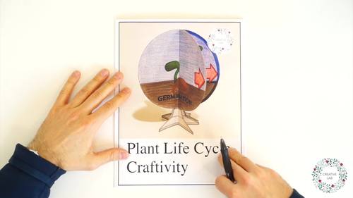 Plant Life Cycle - 3D Model Craft Activity by Creative Lab | TPT