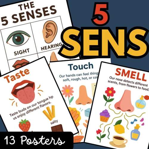 5 Senses Posters | Science Anchor Charts | Visuals for Kindergarten ...