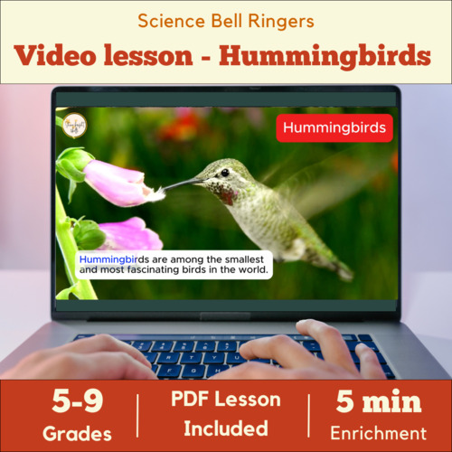 Science bell ringer video (4 min) - Hummingbirds - Middle school