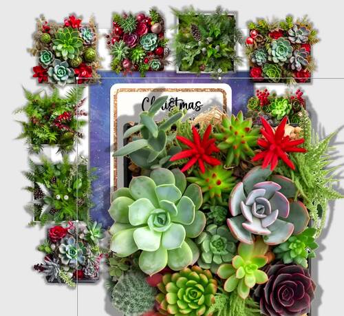 Christmas Succulents MOVEABLE Mock-up png images, mockup Festive Clipart