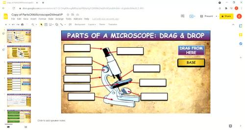 Parts Of A Microscope: Drag & Drop Worksheet: Google Slides ...