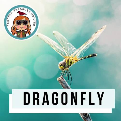 Dragonfly nonfiction passage for Pond Animals or wetlands animal insect ...