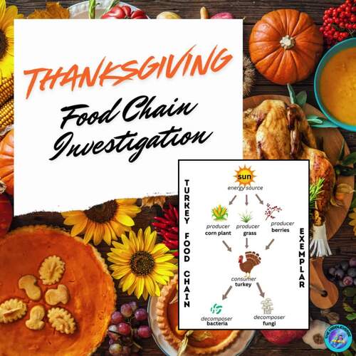 Thanksgiving Food Chain Activity by The MiddleVerse | TPT