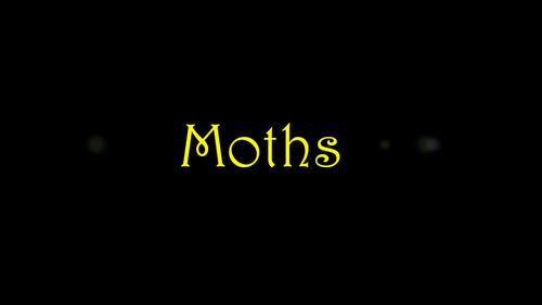 Moths - An Intermediate Level Piano Study by Yvonne Johnson Music