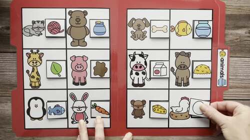 File Folder Activities - Matching What Goes Together- PreK, Kinder ...