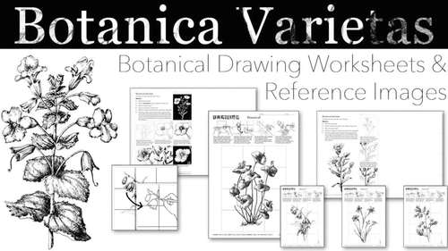 Botanica Varietas: Botanical Drawing Worksheets and 50 Reference Images