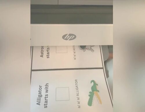 Sight Word Adapted Books with Songs | Leveled Reading for Special Education