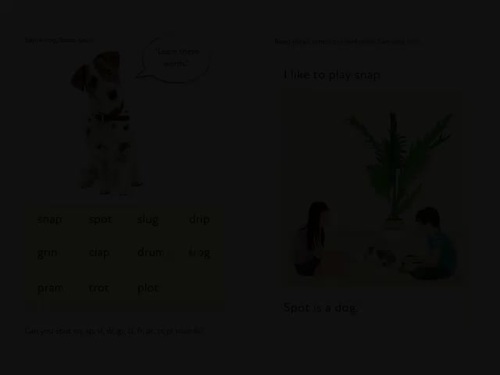 Learn Initial Consonant Blends & Read The Sentences by Guinea Pig Education