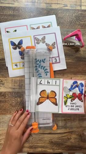 Butterfly Count and Clip Cards • Montessori printable • Butterfly Study