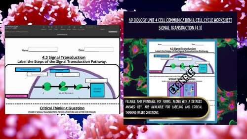 AP Biology UNIT 4 Cell Communication Signal Transduction 4.3 Review ...