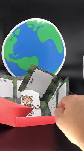 Rain Forest Animals Research Foldable Project and Editable Rubric ...