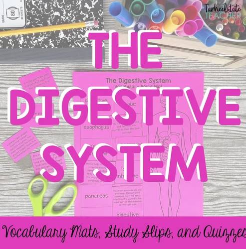 Digestive and Nervous System Vocabulary Activities Printable w Google ...